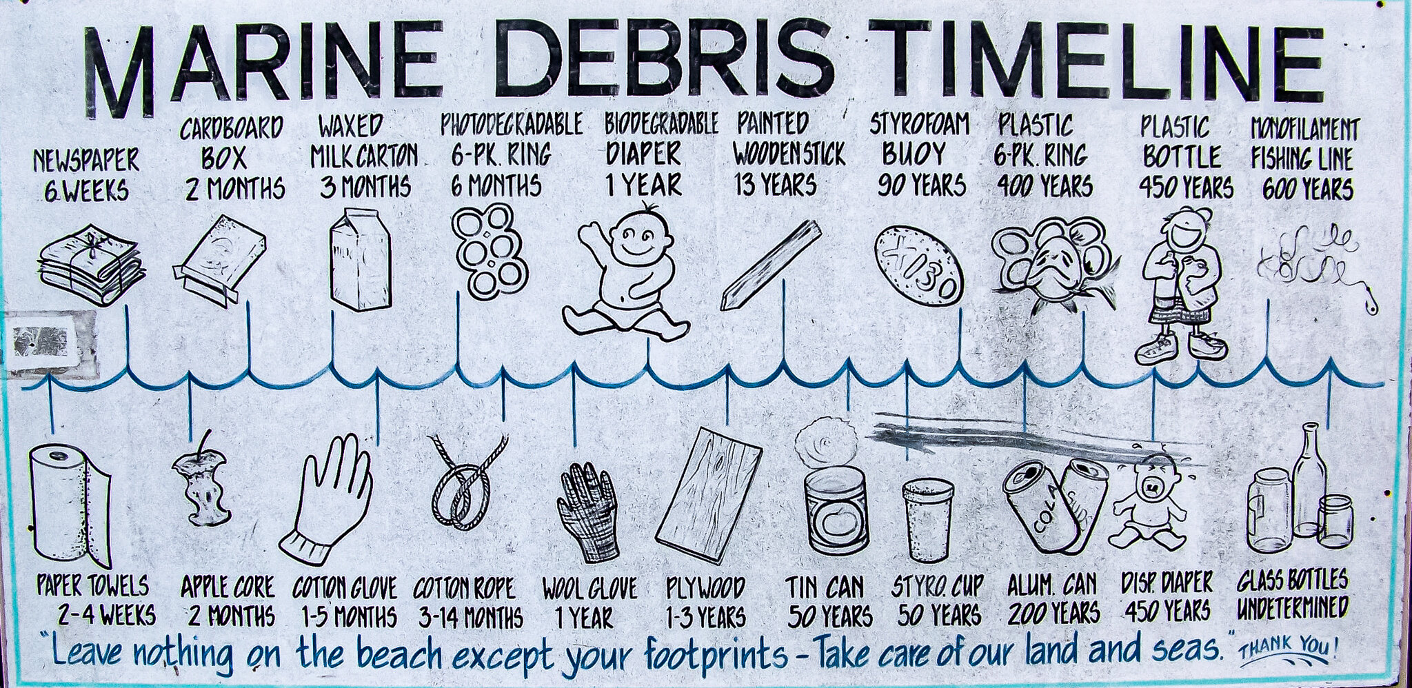 Microplastic Beach Research — Save Coastal Wildlife