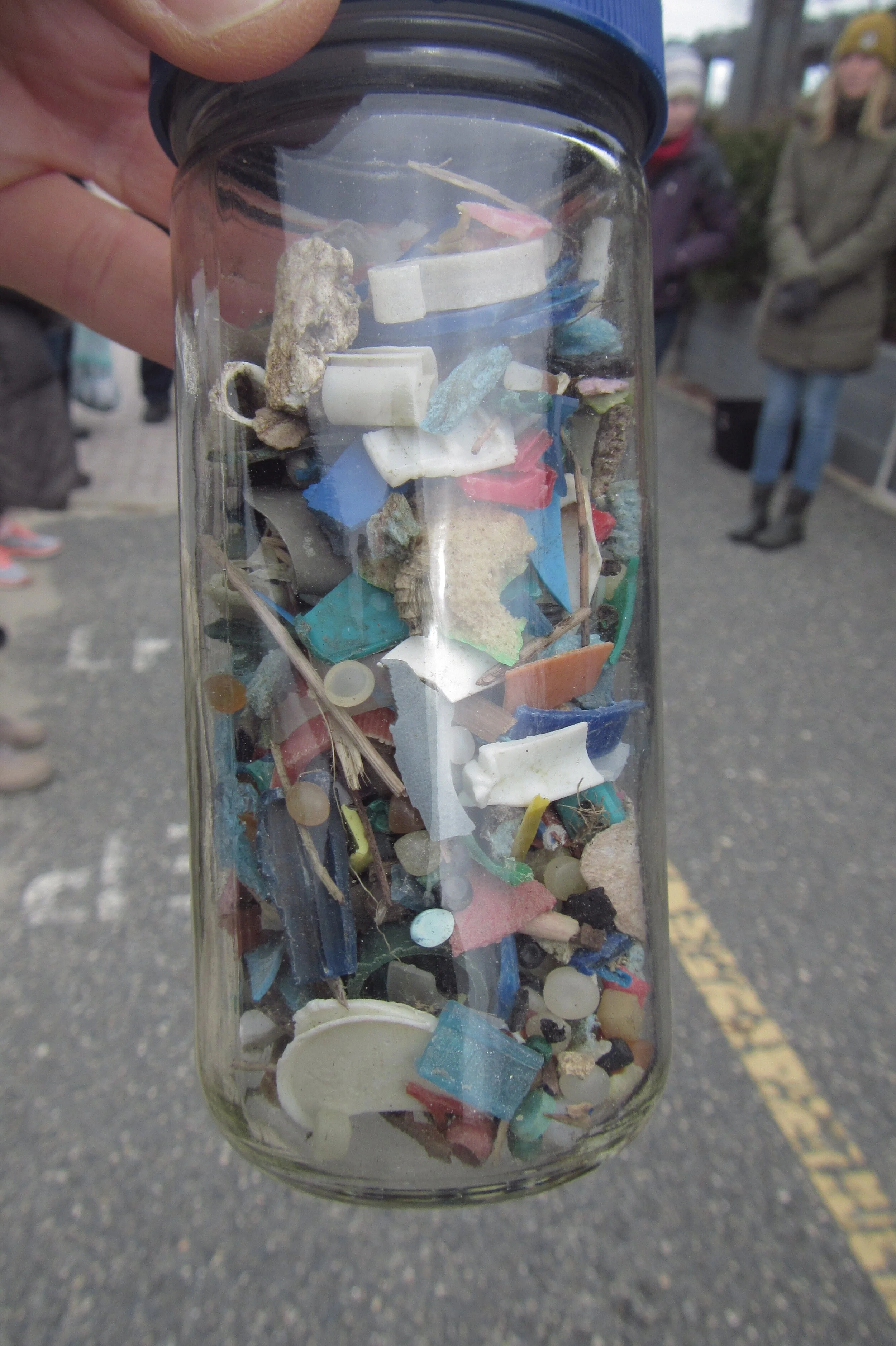 Microplastic Beach Research — Save Coastal Wildlife