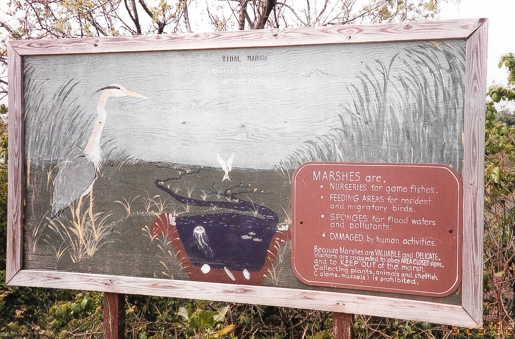Habitat Restoration — Save Coastal Wildlife