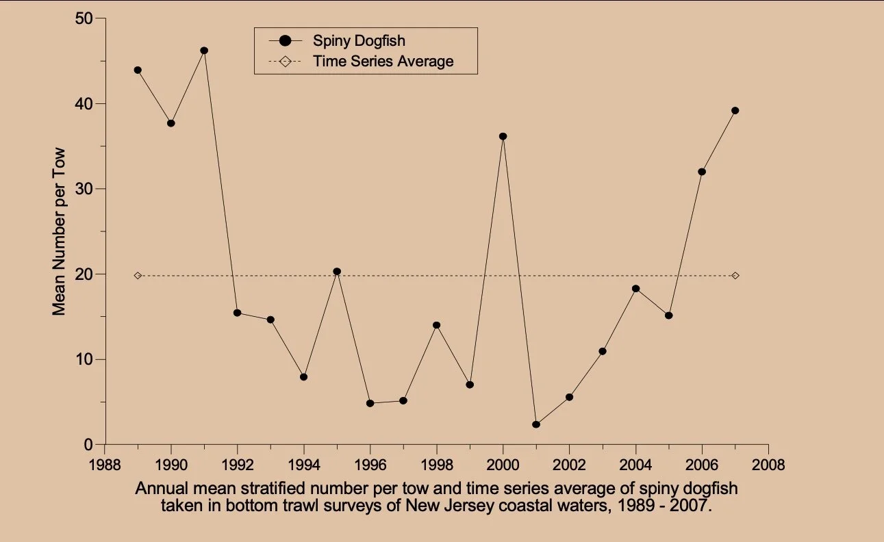 Sharks of the Jersey Shore — Save Coastal Wildlife
