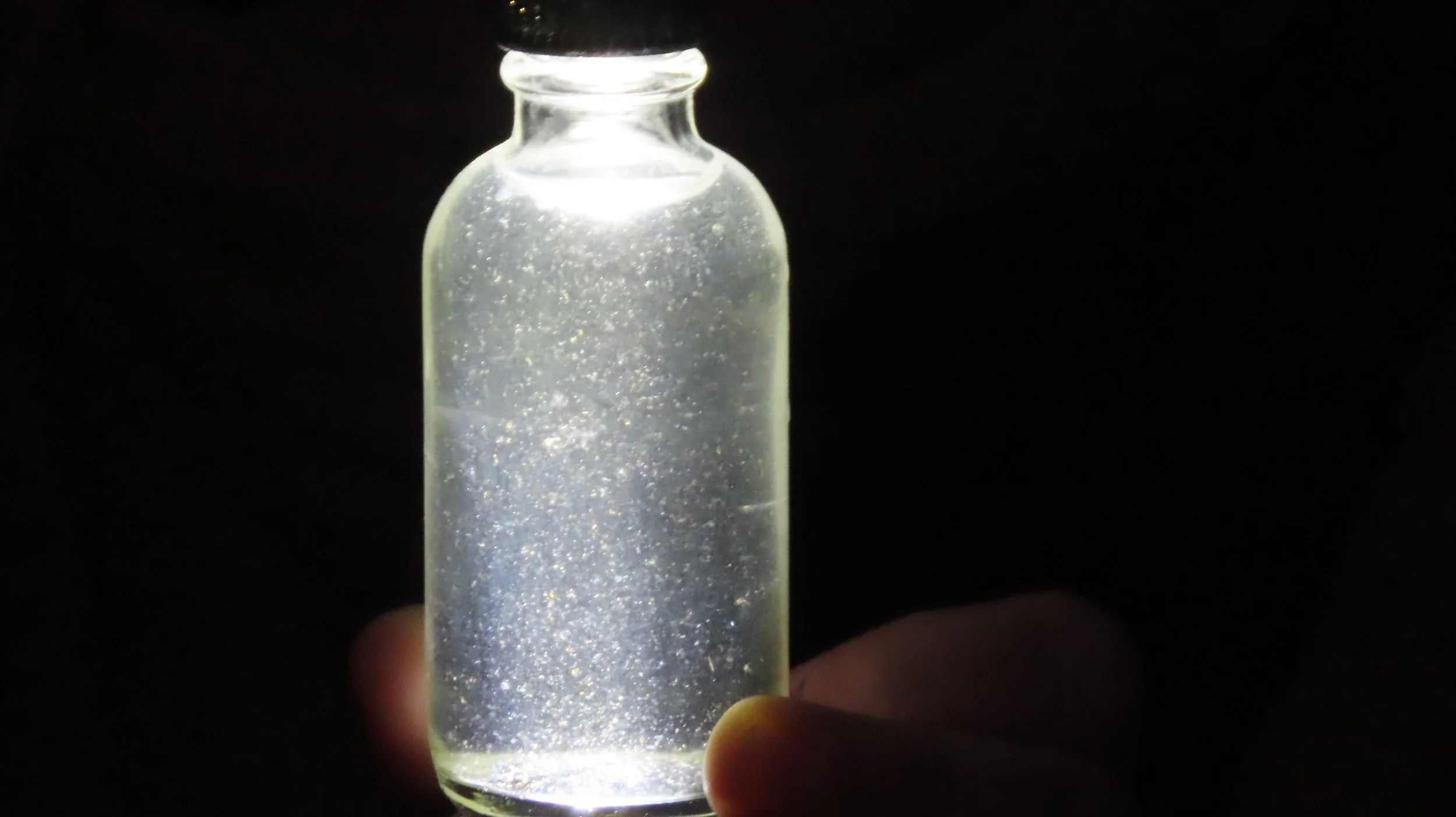 Plankton Research Along the Jersey Shore — Save Coastal Wildlife