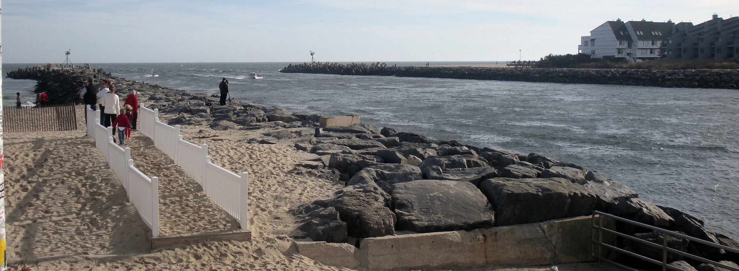 Manasquan River Inlet Study — Save Coastal Wildlife