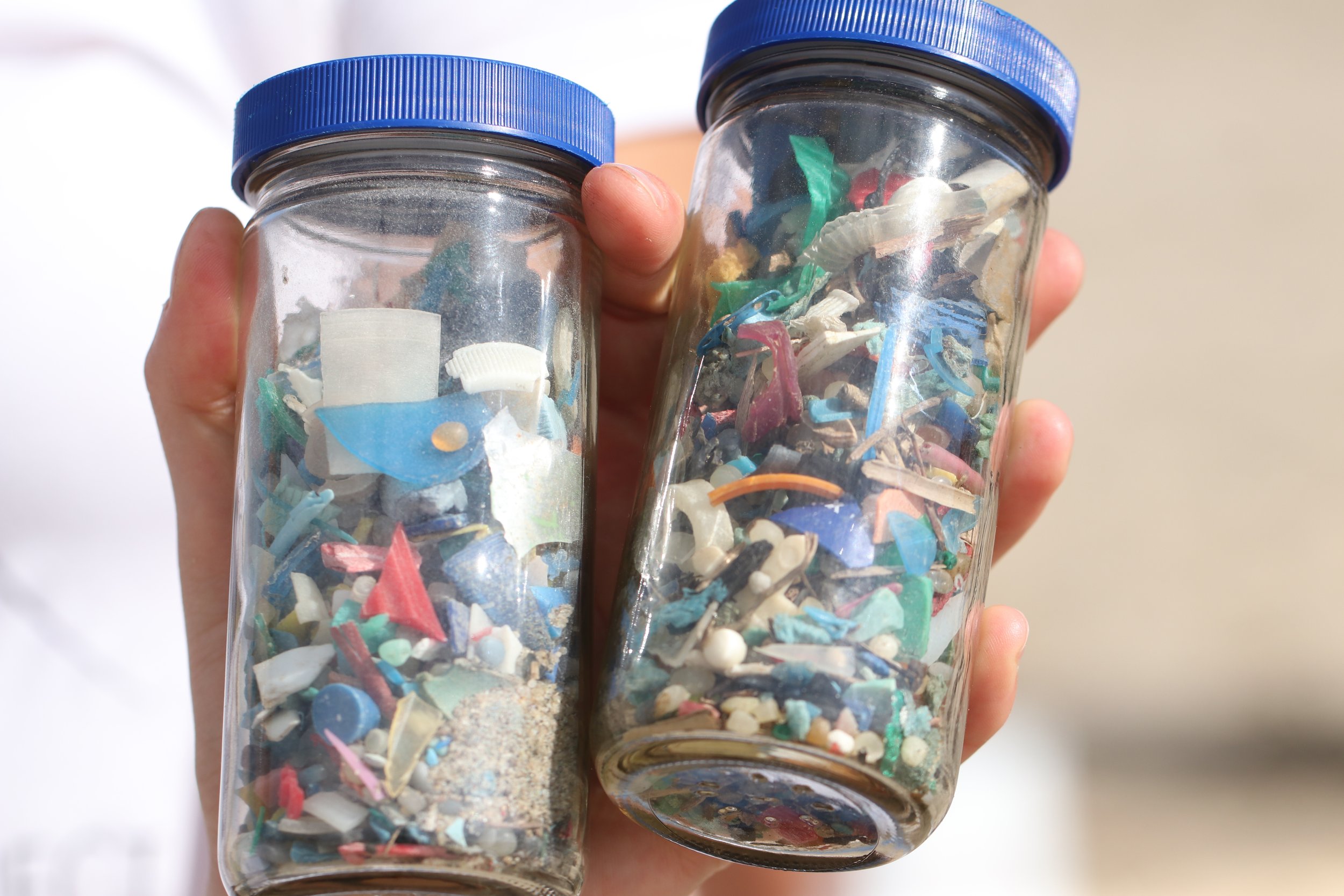 Microplastic Beach Research — Save Coastal Wildlife