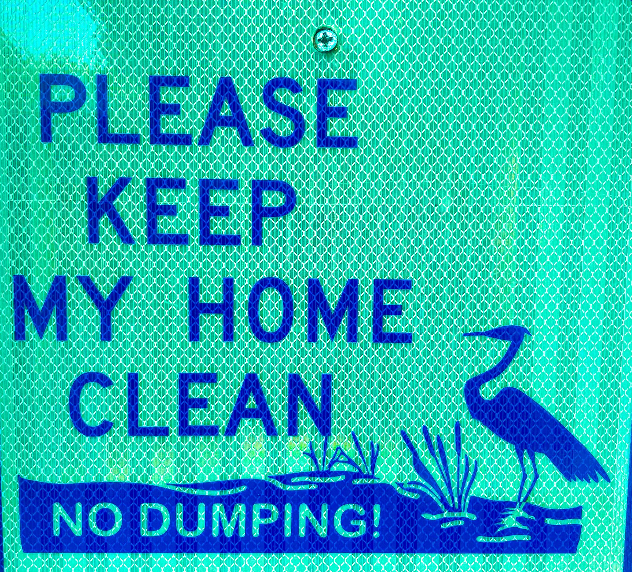 Beach & Wetland Cleanups — Save Coastal Wildlife