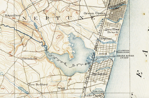 Shark River Inlet Study — Save Coastal Wildlife