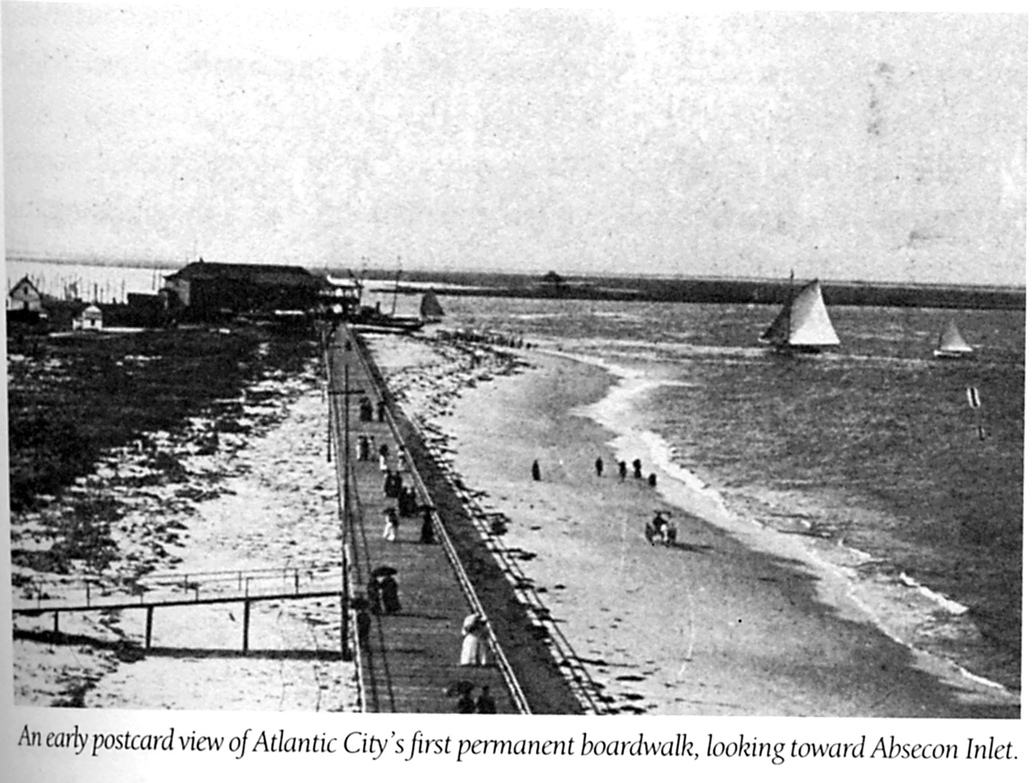 Abescon Inlet Study — Save Coastal Wildlife