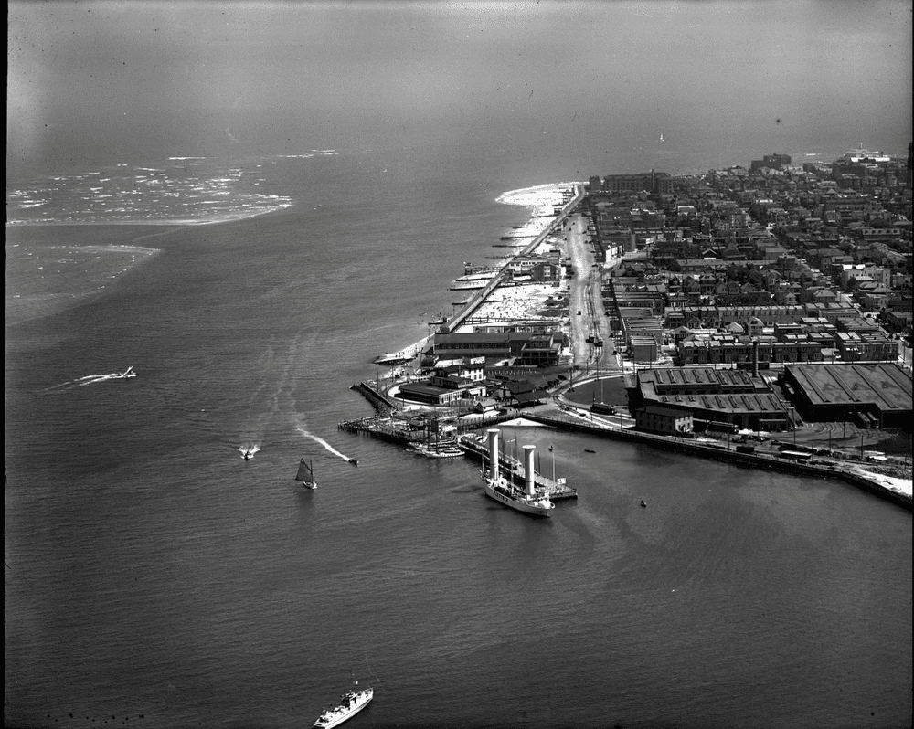Abescon Inlet Study — Save Coastal Wildlife