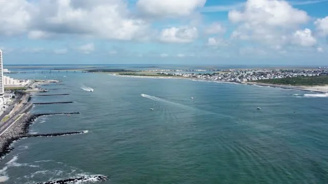 Abescon Inlet Study — Save Coastal Wildlife