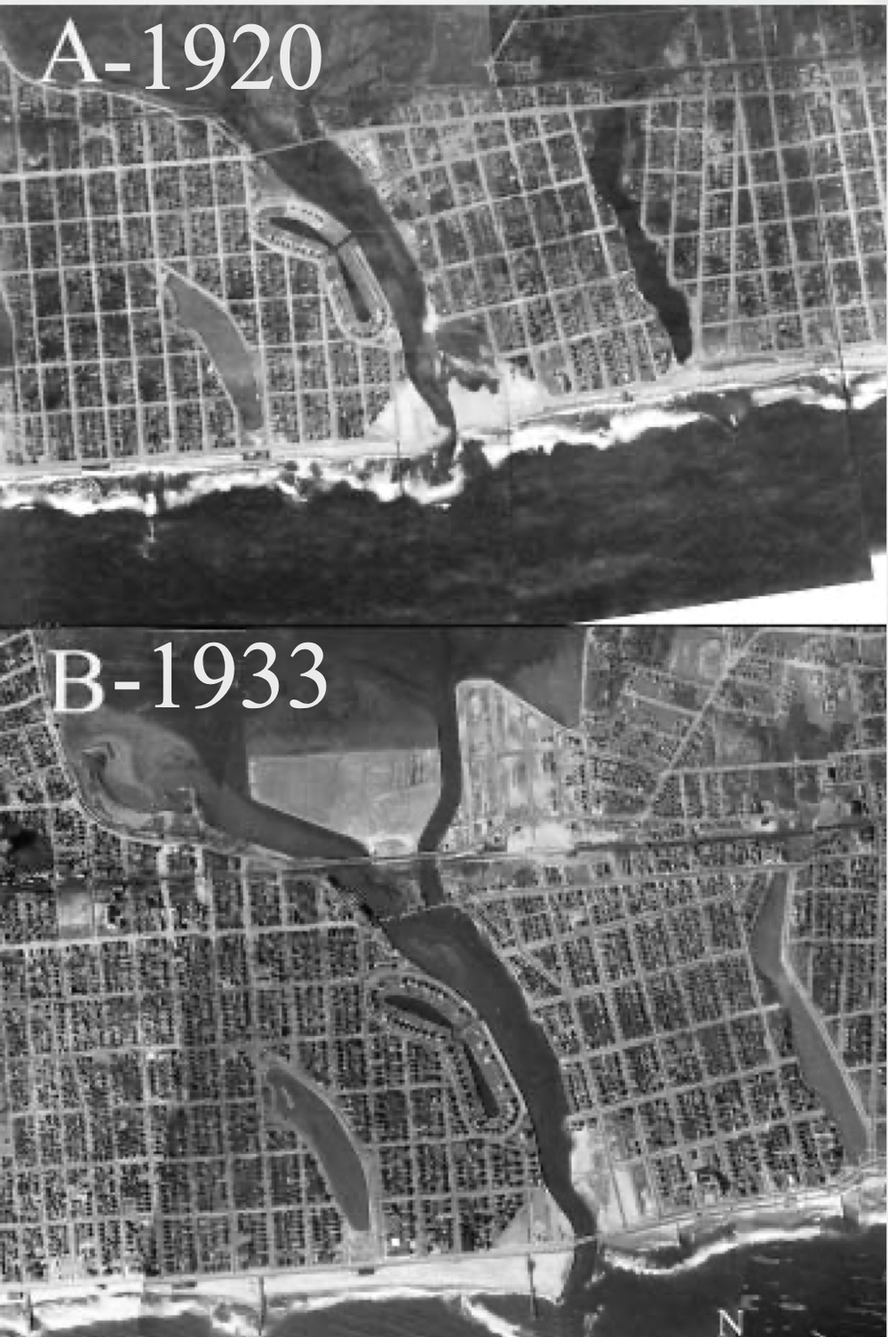 Shark River Inlet Study — Save Coastal Wildlife