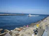 Shark River Inlet Study — Save Coastal Wildlife