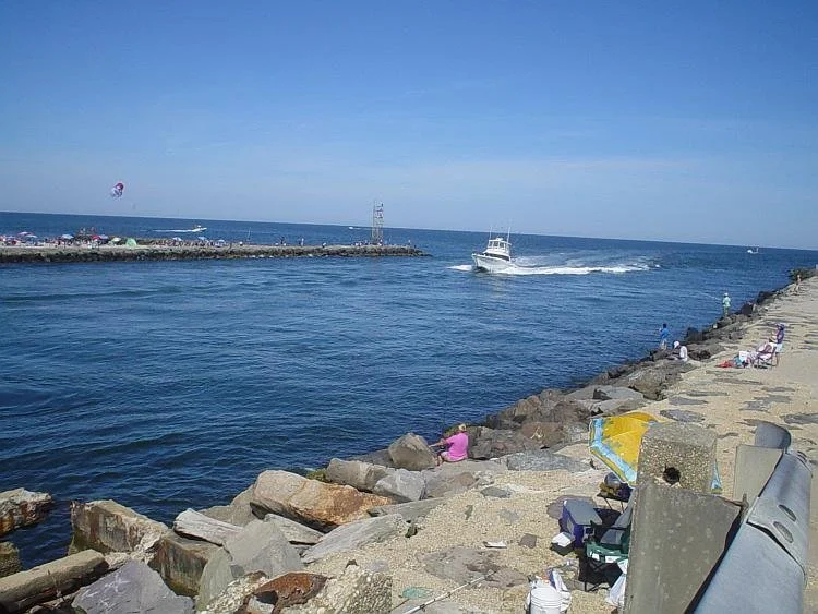 Shark River Inlet Study — Save Coastal Wildlife
