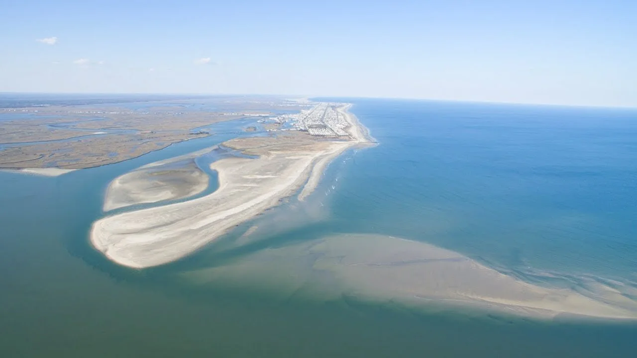 Hereford Inlet Study — Save Coastal Wildlife