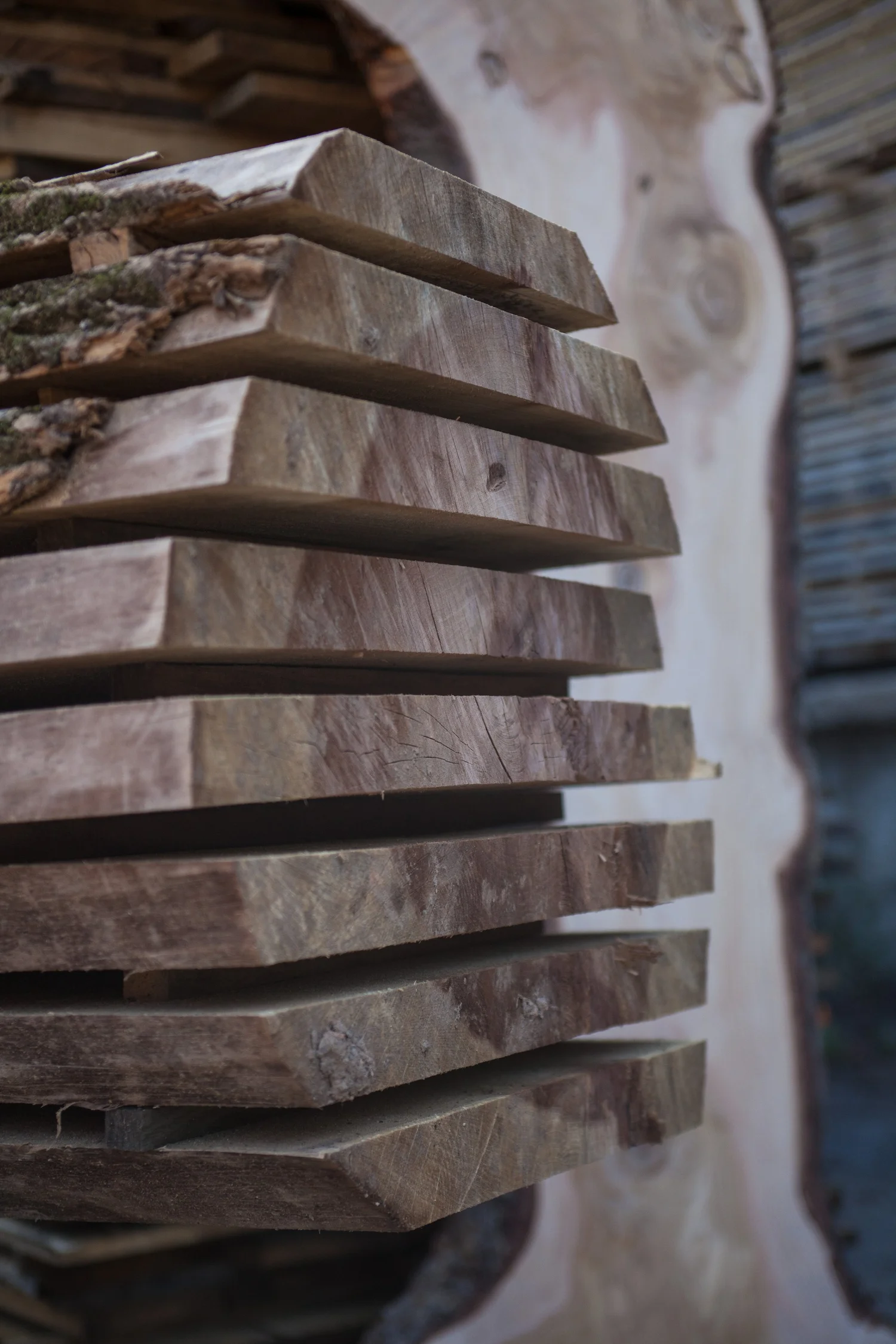 Live Edge Wood Slabs — Eutree Inc.