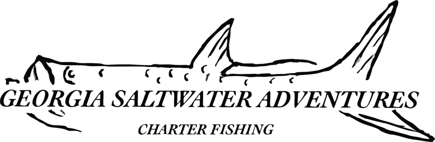 Georgia Saltwater Adventures