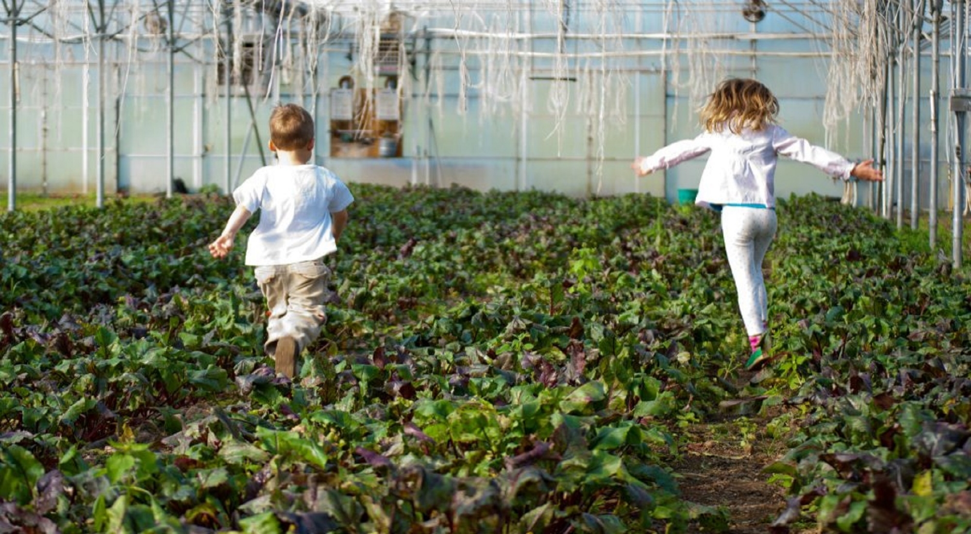 Our Story — Spiral Path Farm