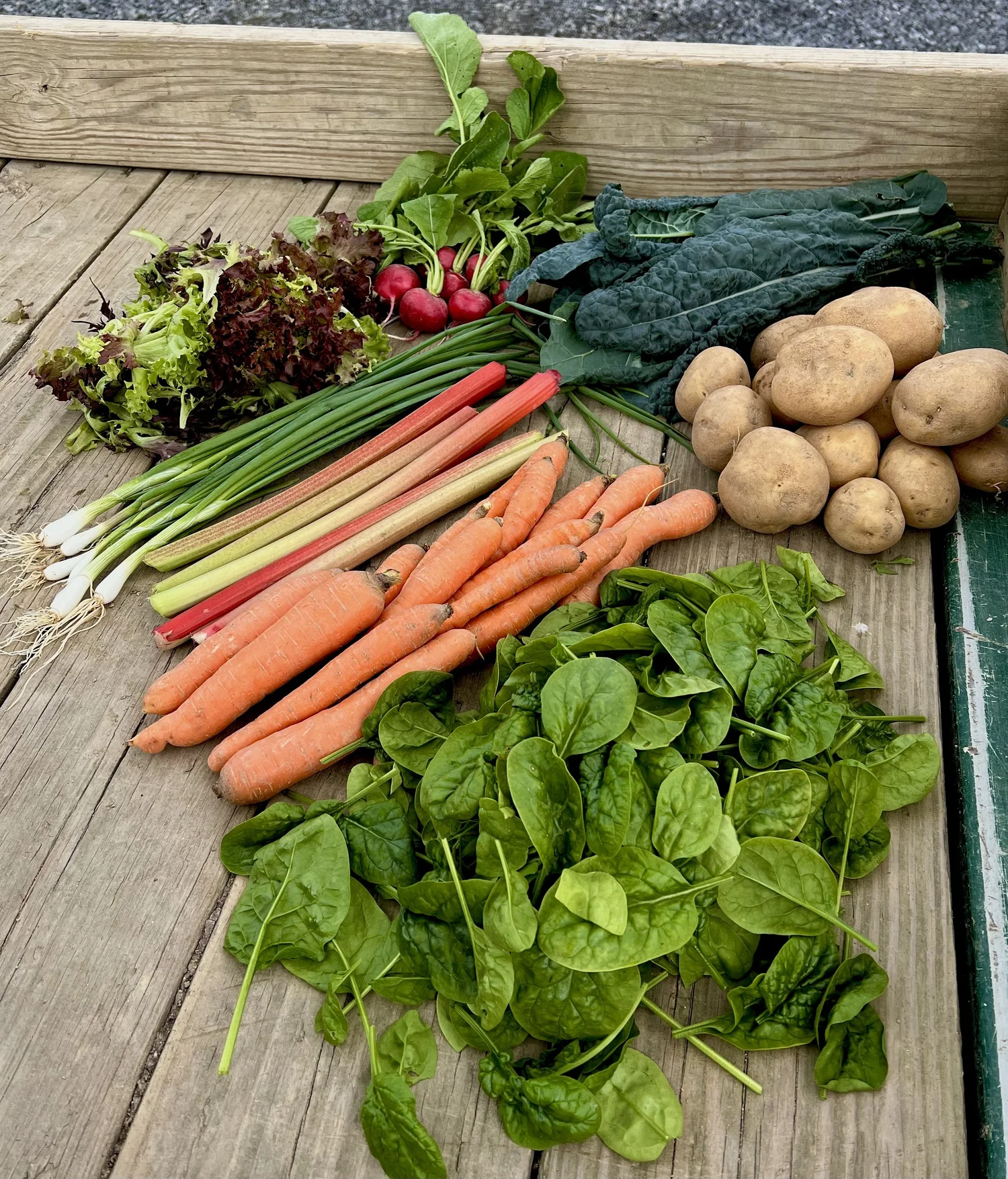 CSA Share Photos | Spiral Path Farm — Spiral Path Farm