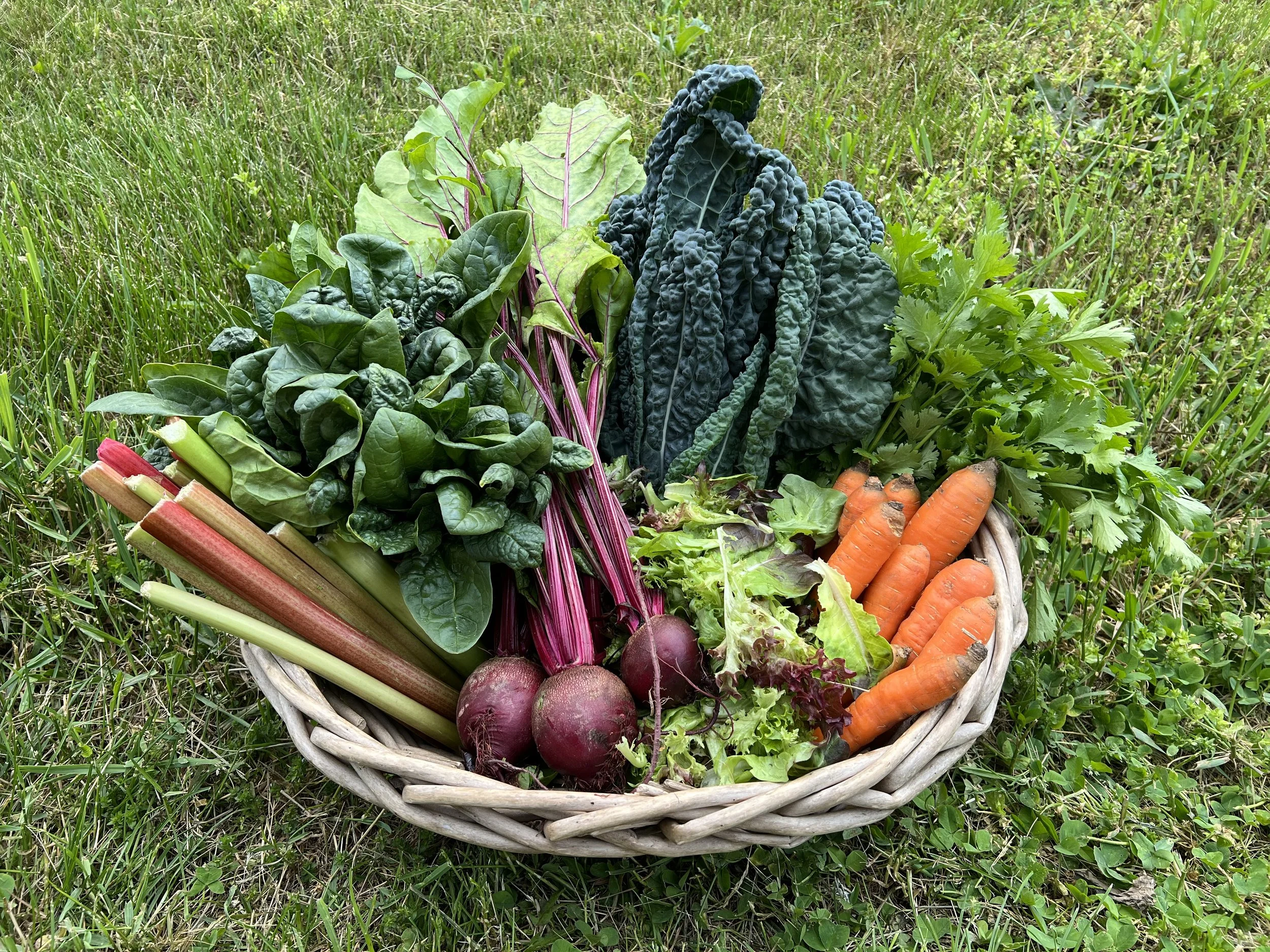 CSA Share Photos | Spiral Path Farm — Spiral Path Farm