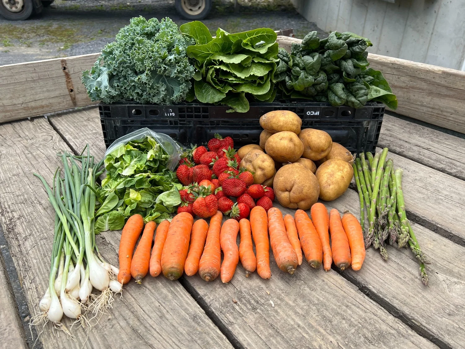 CSA Share Photos | Spiral Path Farm — Spiral Path Farm