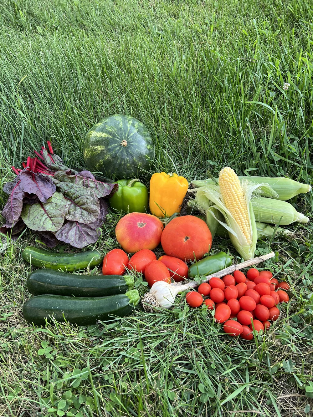 CSA Share Photos | Spiral Path Farm — Spiral Path Farm