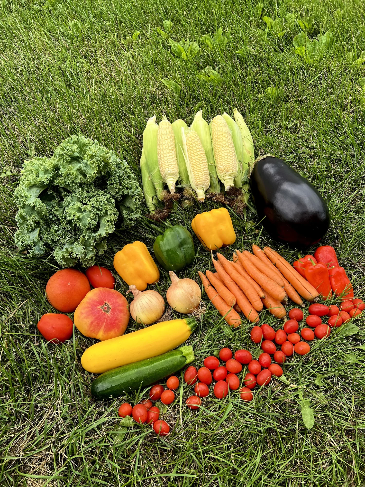 CSA Share Photos | Spiral Path Farm — Spiral Path Farm