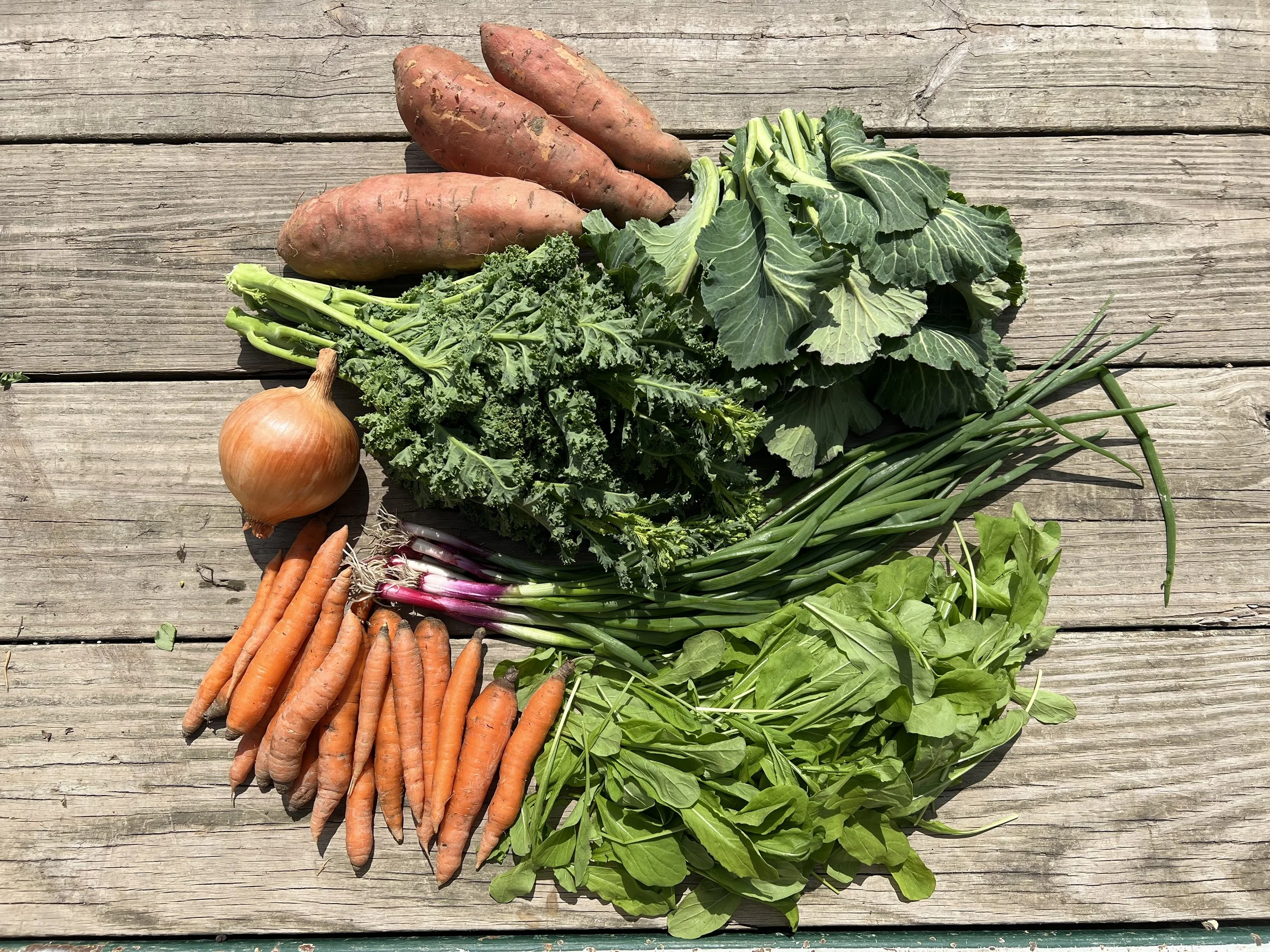 CSA Share Photos | Spiral Path Farm — Spiral Path Farm