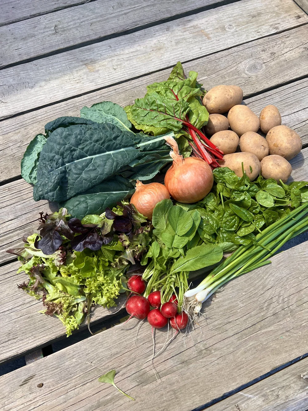 CSA Share Photos | Spiral Path Farm — Spiral Path Farm