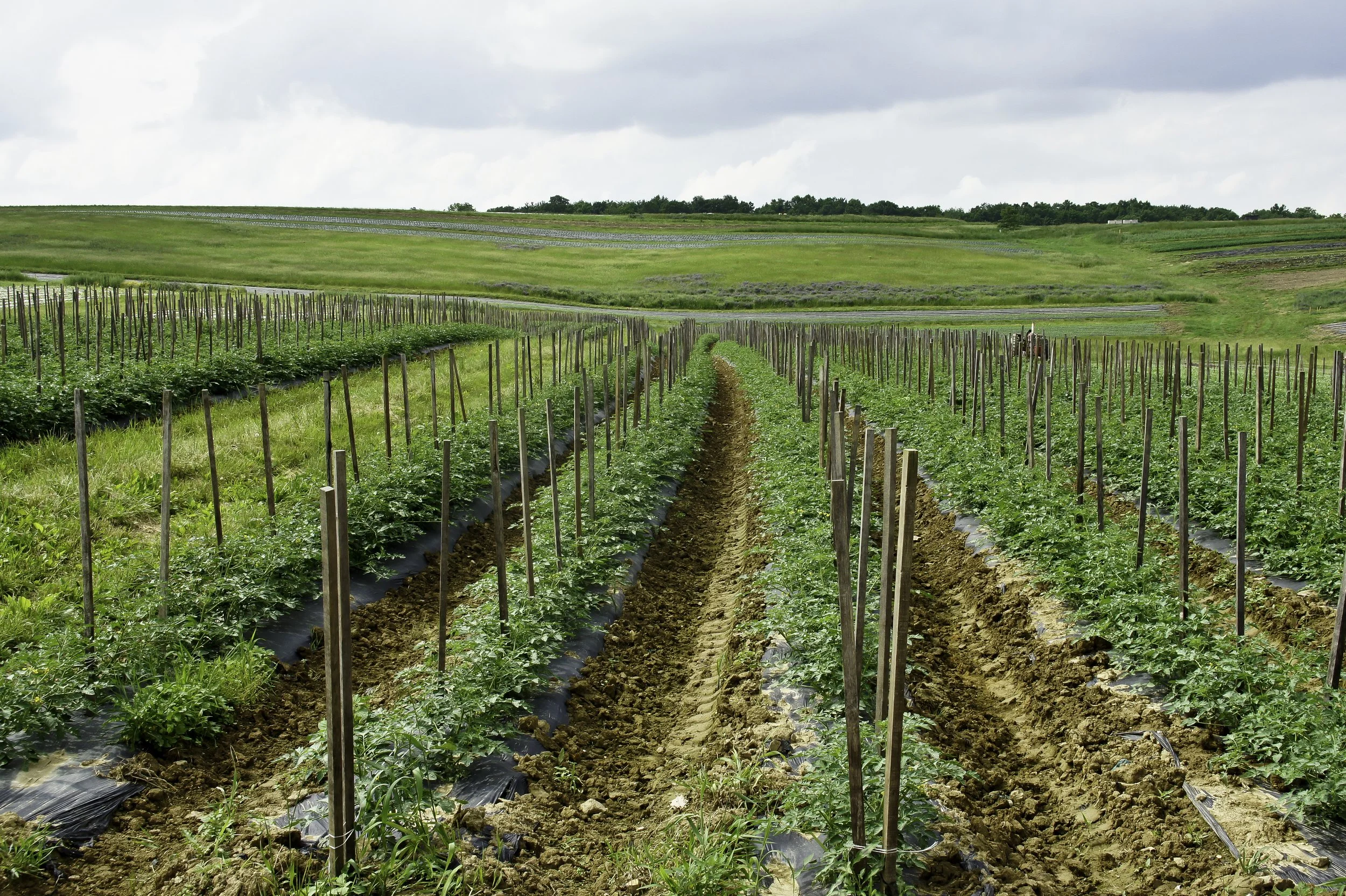 Our Pick-Up Sites | Spiral Path Farm — Spiral Path Farm
