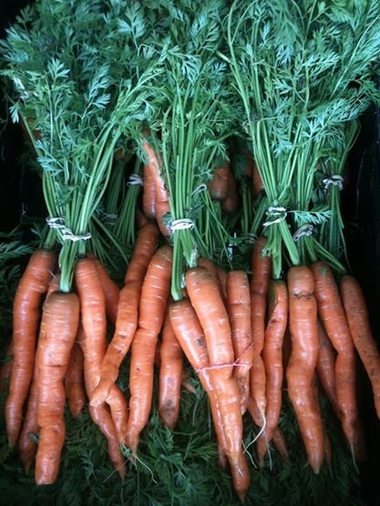 Membership Info — Spiral Path Farm