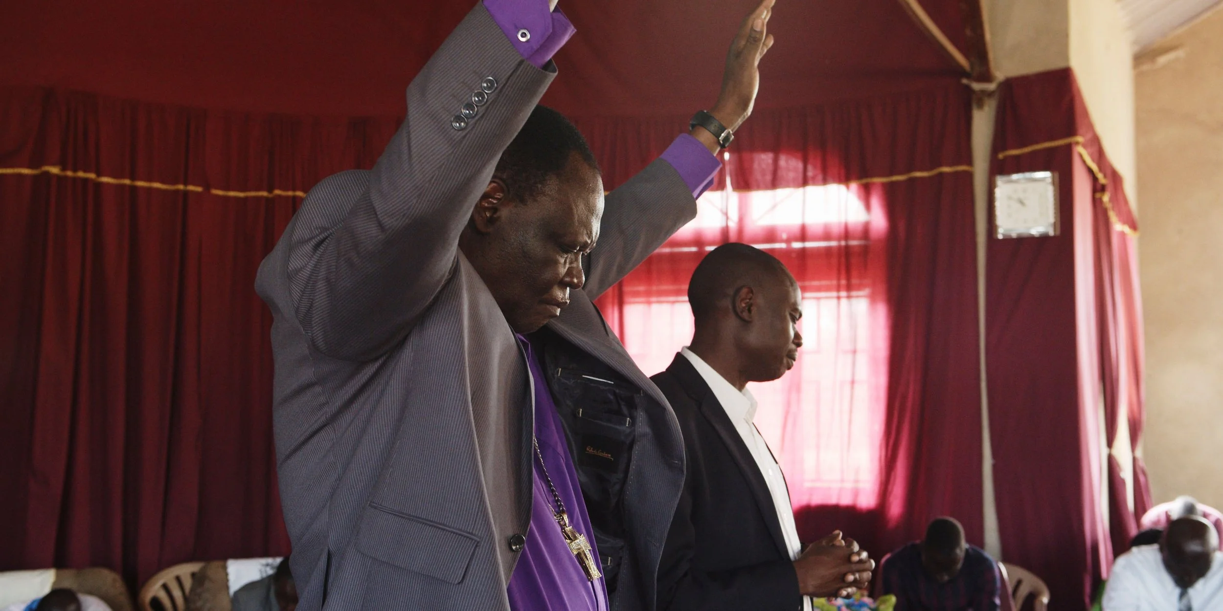 The Elephants and the Grass