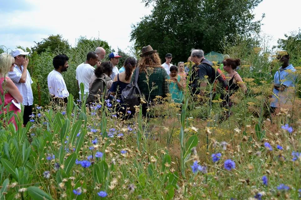 Our Partners — Forest Farm Peace Garden