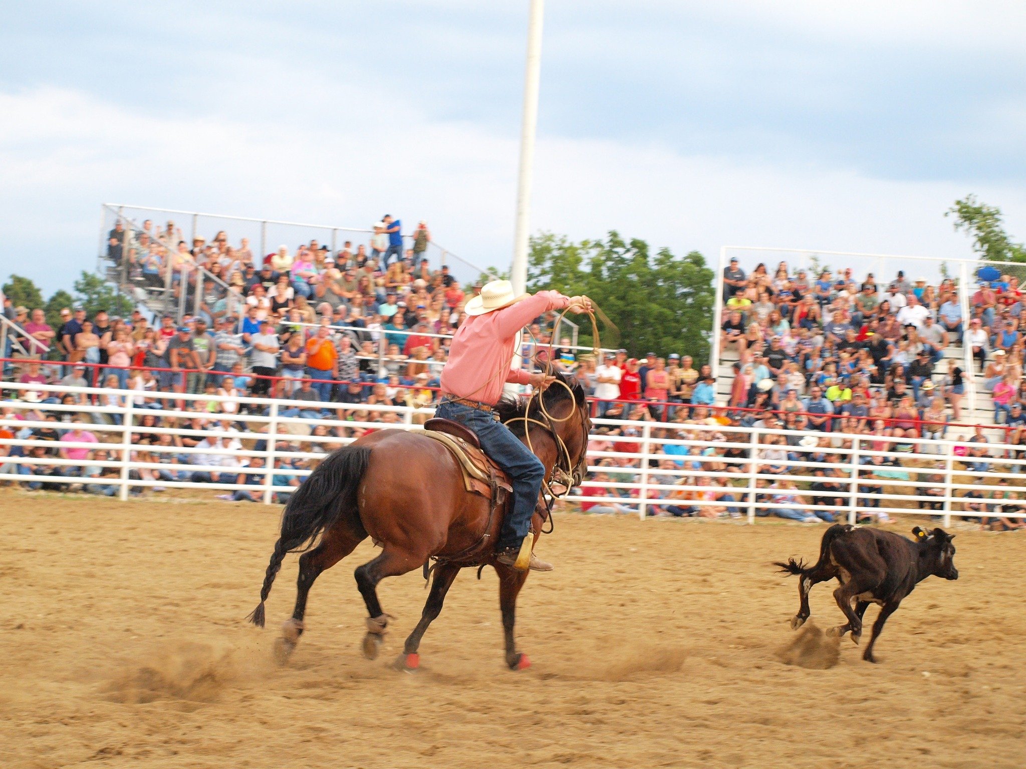 Rodeo — West Alexander Fair