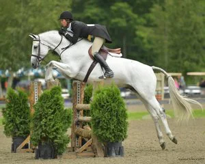 Northern Ridge Stables