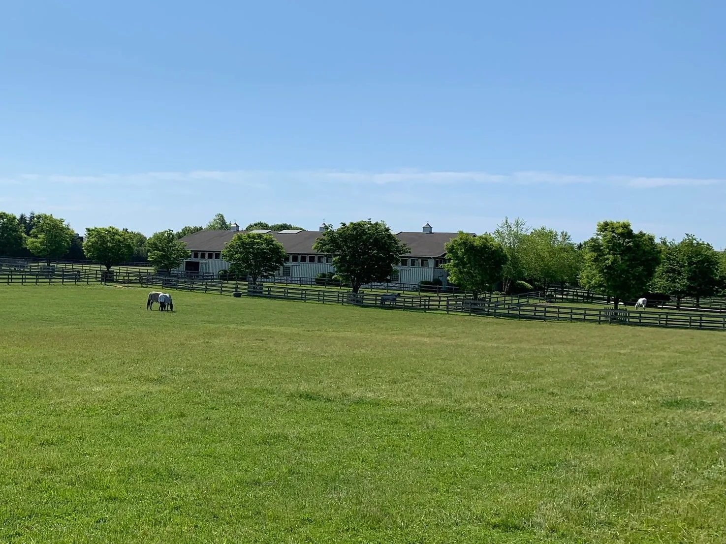 Northern Ridge Stables