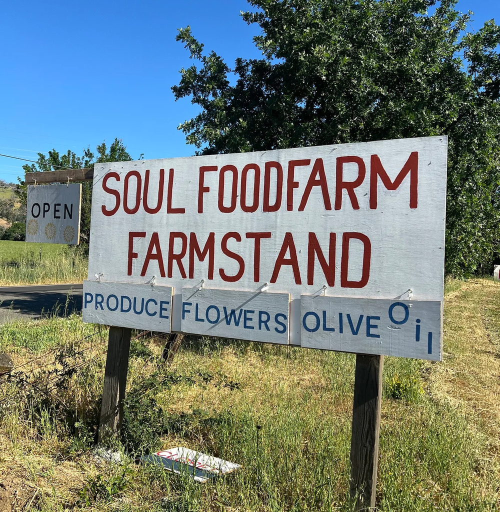 Farm Stand — Soul Food Farm