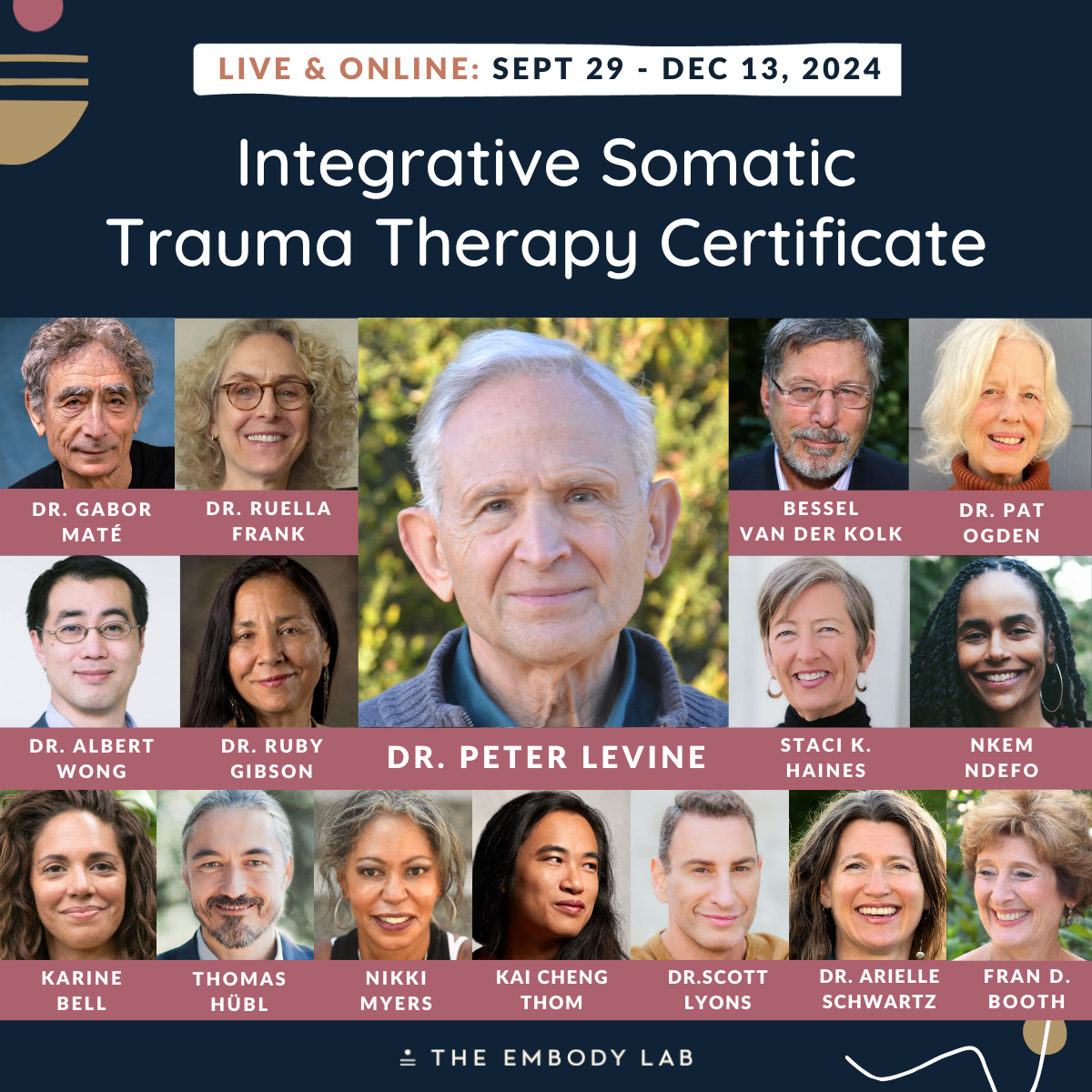 Integrative Somatic Trauma Therapy Certificate Program — Ergos ...