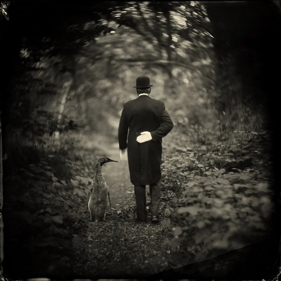 Alex Timmermans — THE PHOTOGALLERY