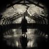Alex Timmermans — THE PHOTOGALLERY
