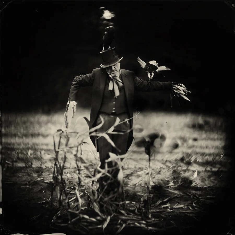 Alex Timmermans — THE PHOTOGALLERY