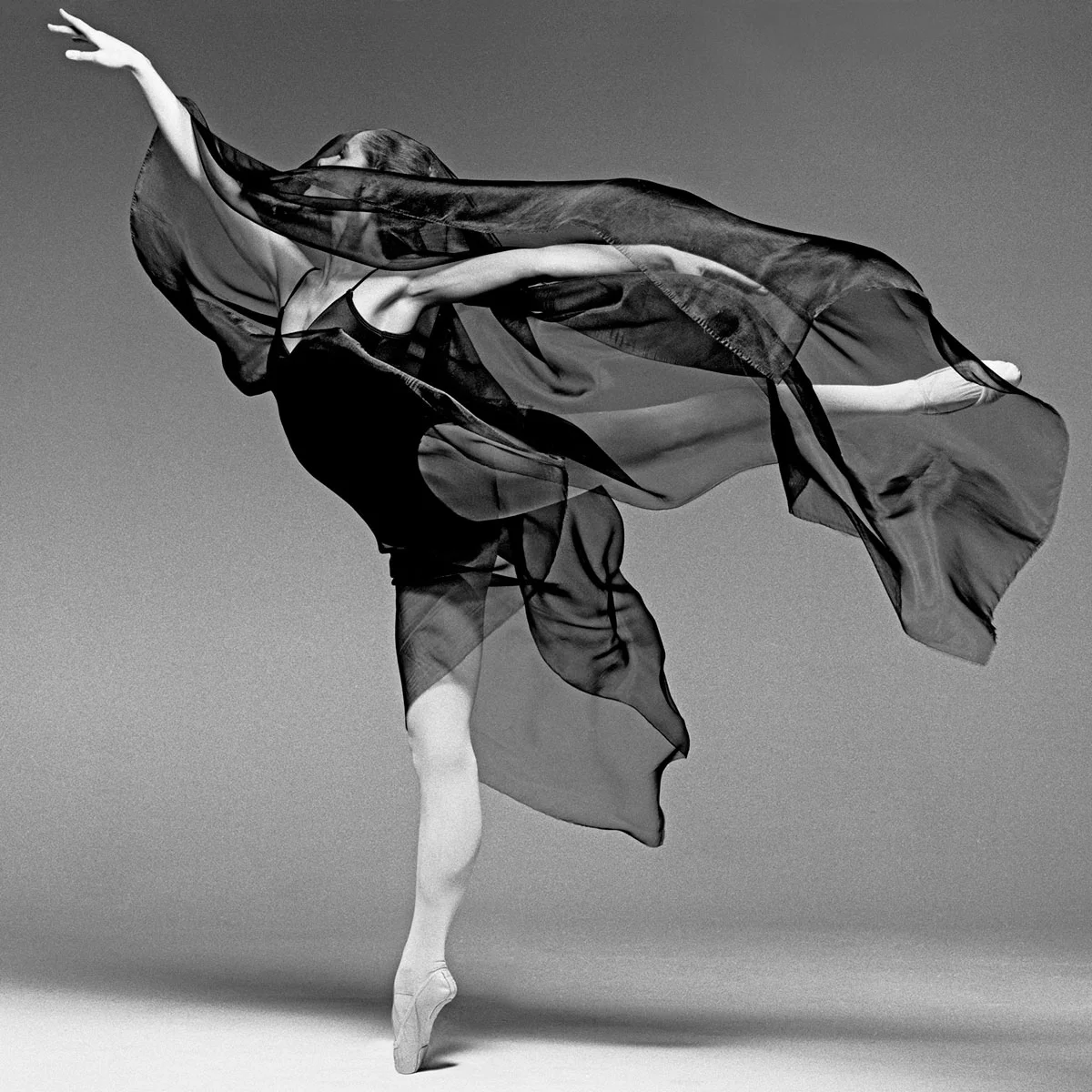 Clive Arrowsmith — THE PHOTOGALLERY