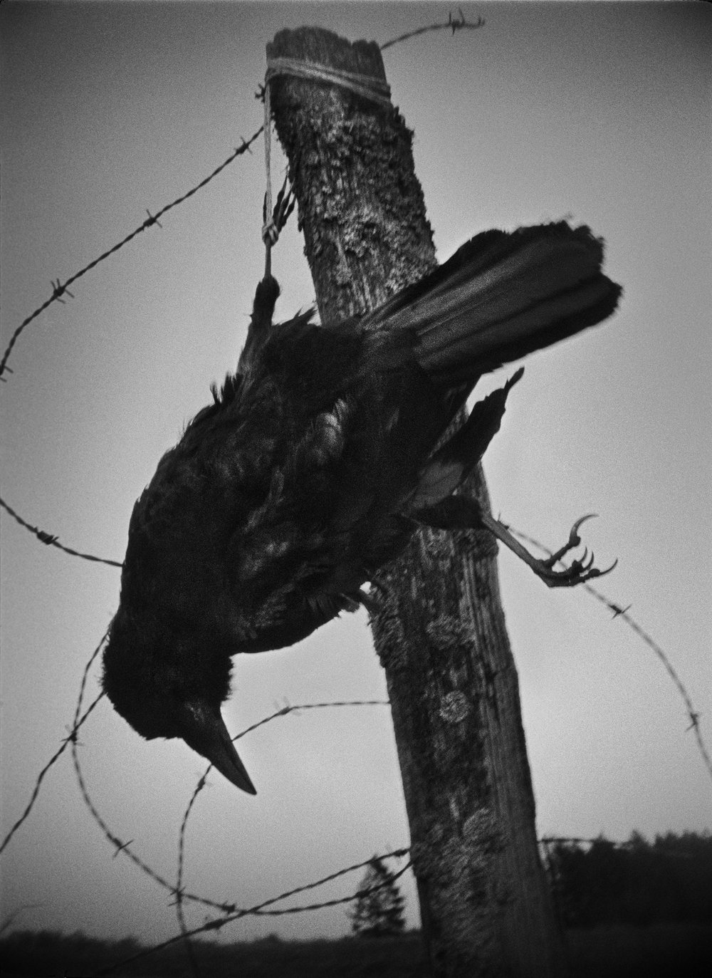 Martin Bogren — THE PHOTOGALLERY