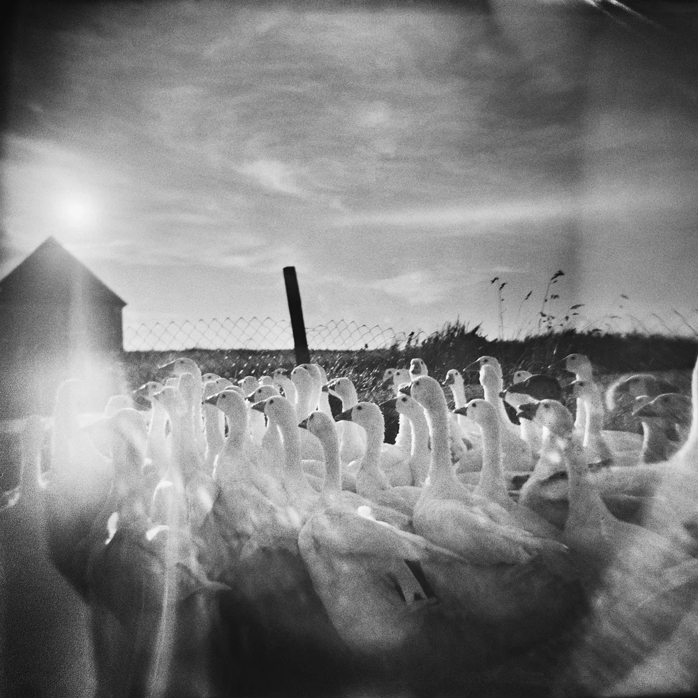 Martin Bogren — THE PHOTOGALLERY
