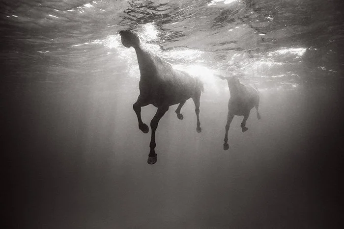 Drew Doggett — THE PHOTOGALLERY