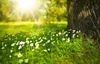 ELSA Supervision — Psychology 360