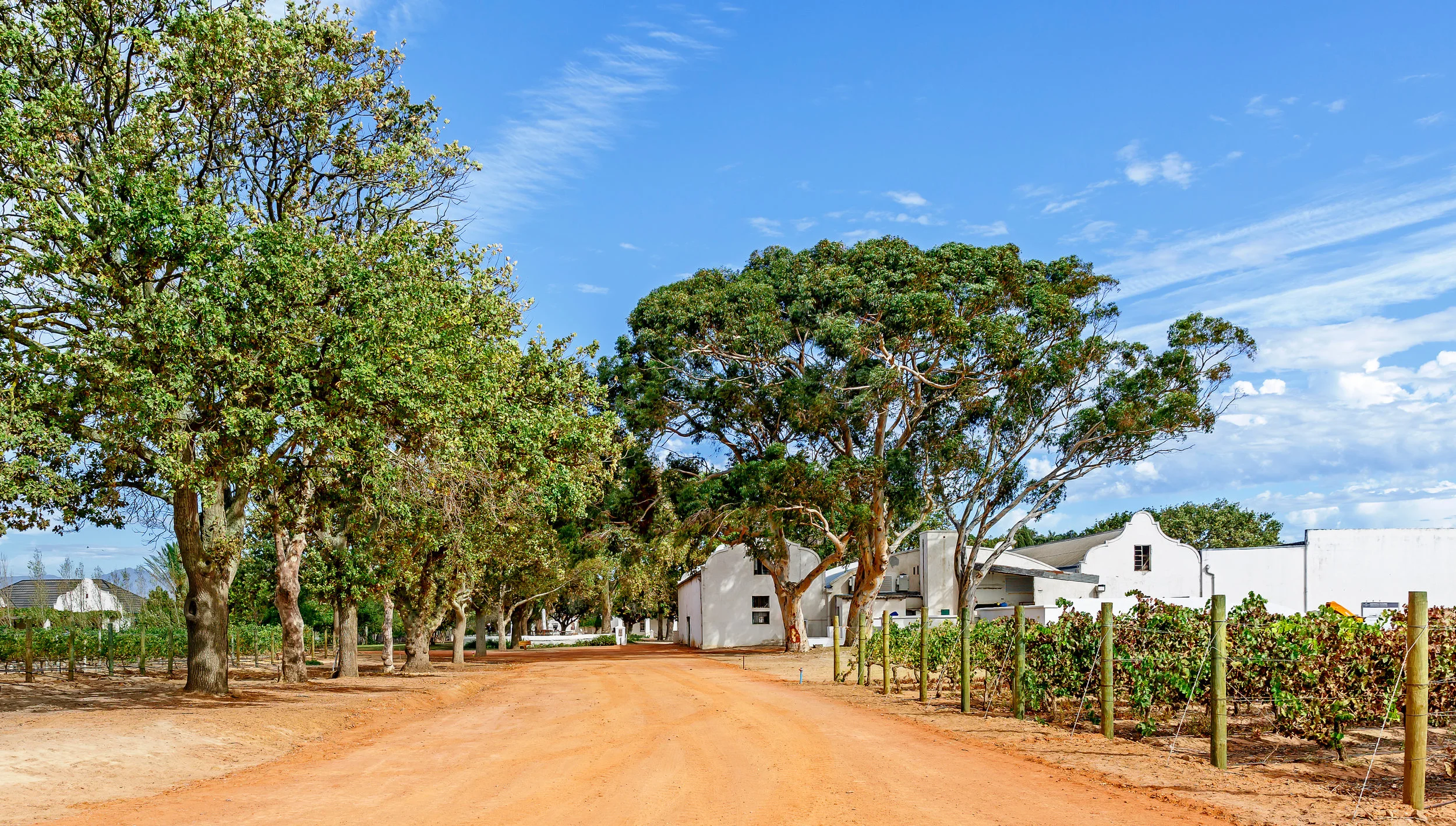 Vergenoegd Heritage and Urban Design Framework, Vergenoegd Wine Estate ...