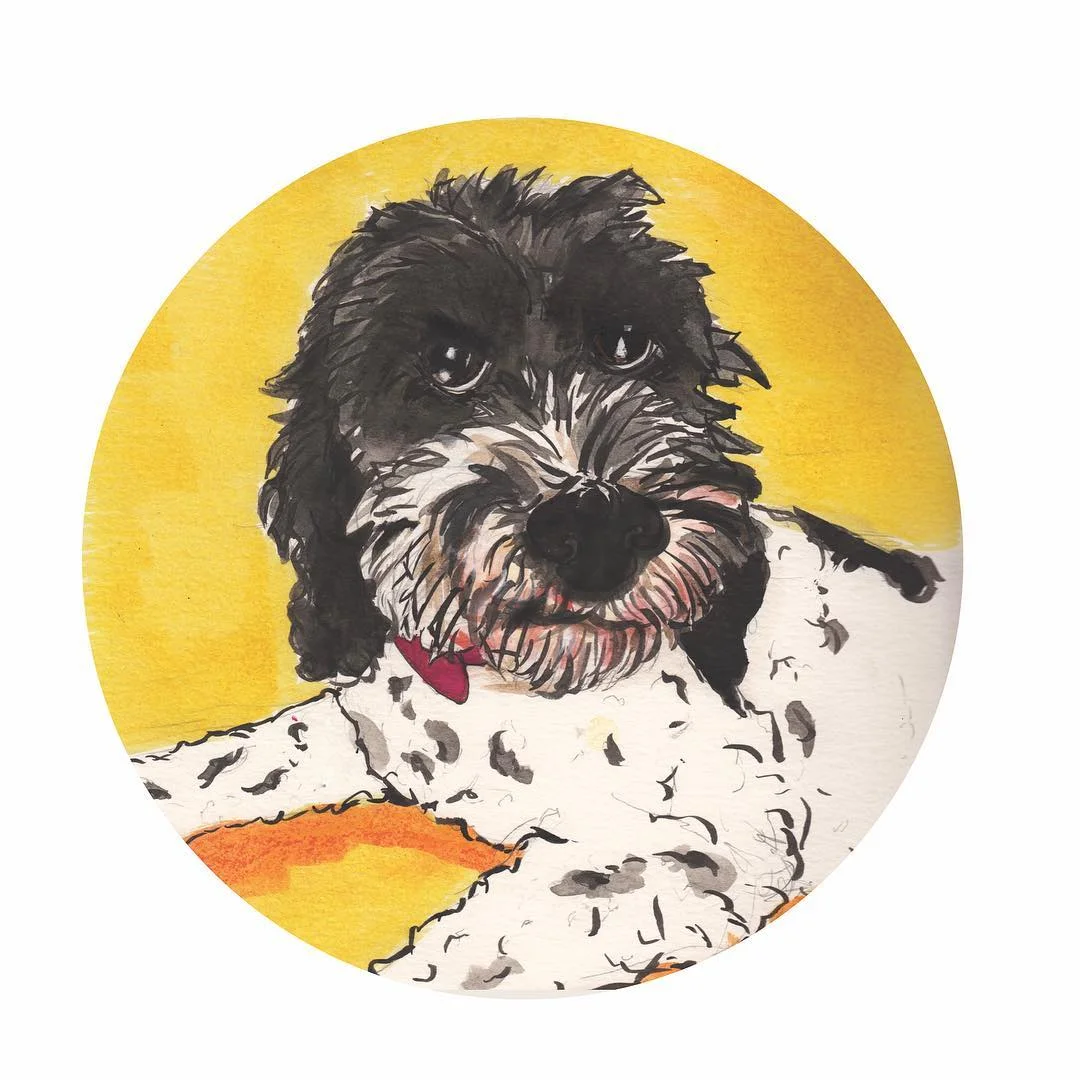 Hannah Jones illustrator, graphic designer, pet illustrator - chester ...