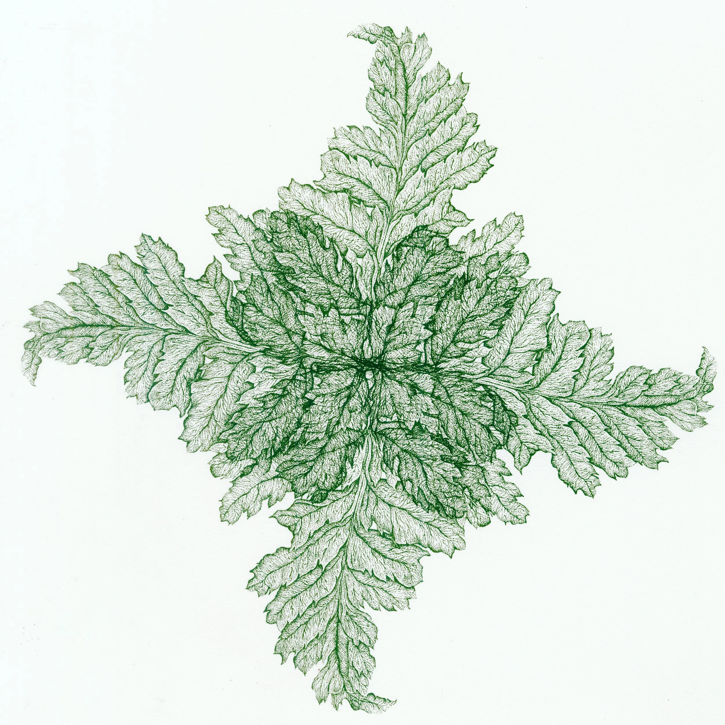 Stephanie Rae Berrie