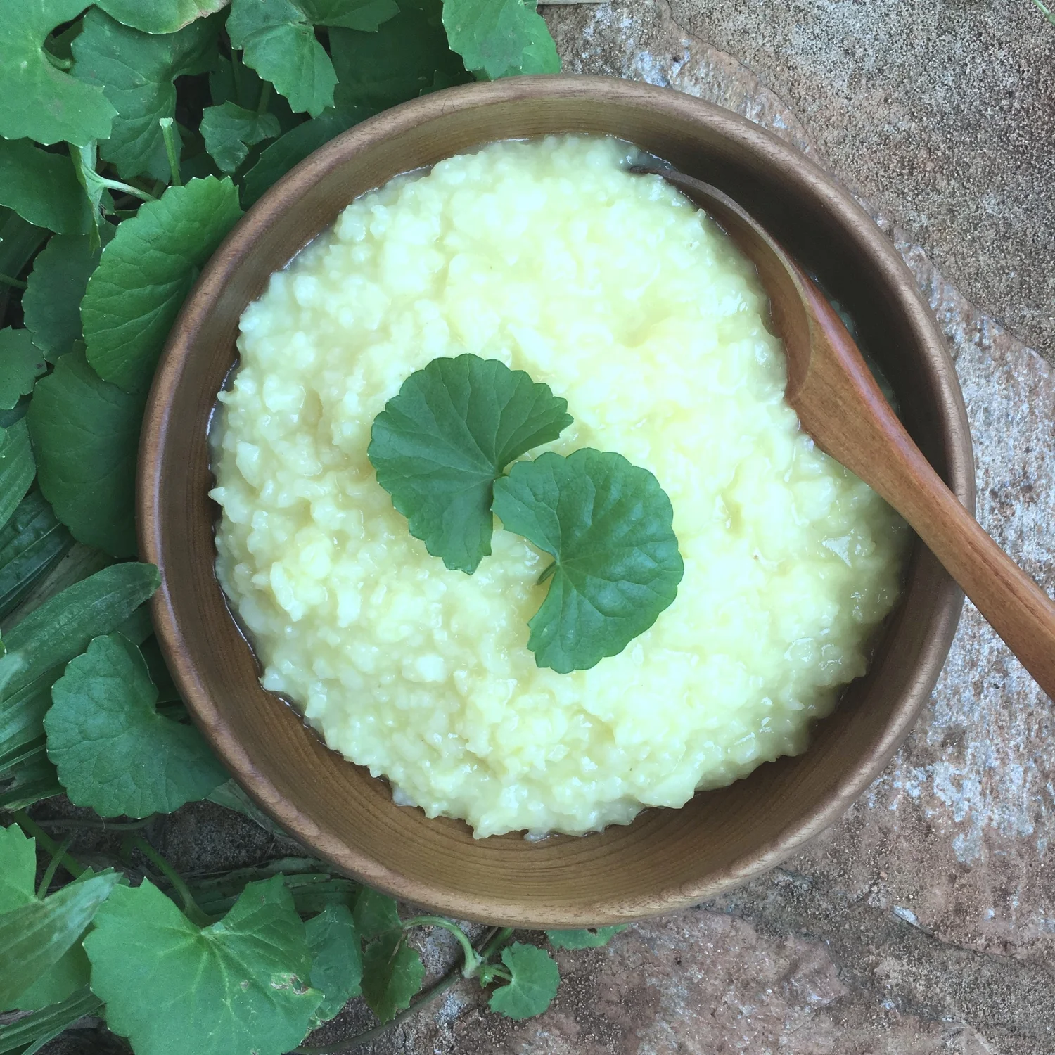 Soupy Rice - Kunji — ARE YOU VEDIC