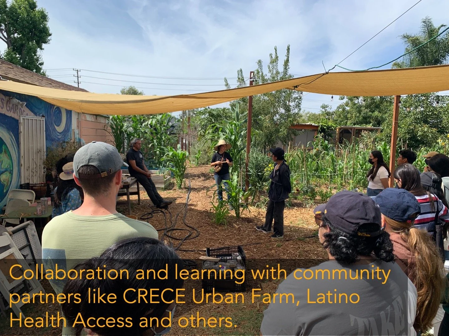 The HELIOS lab | Help Level the Playing Field for future clinician ...