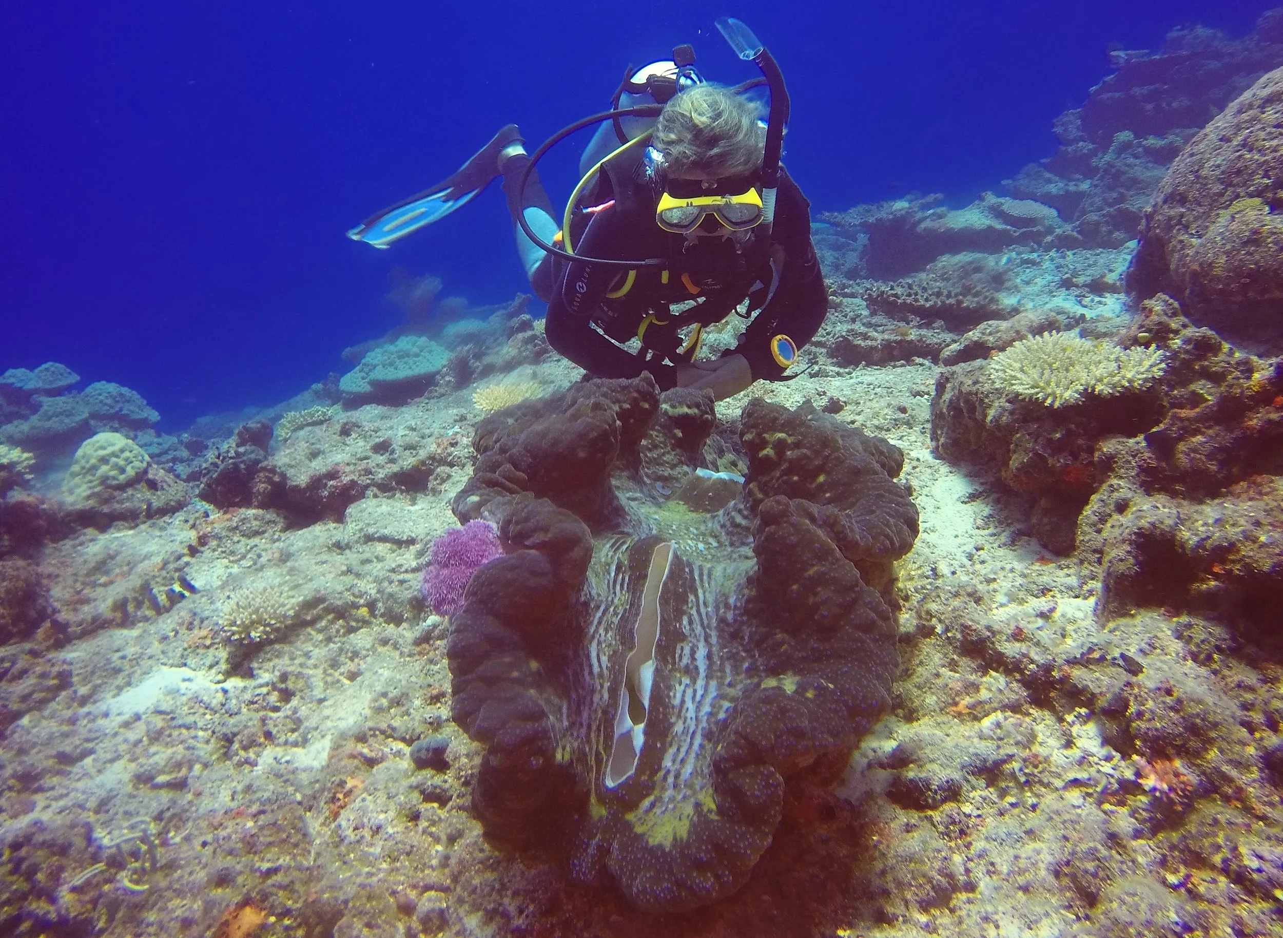 Tokoriki Diving/ Bespoke, small group adventuring in paradise
