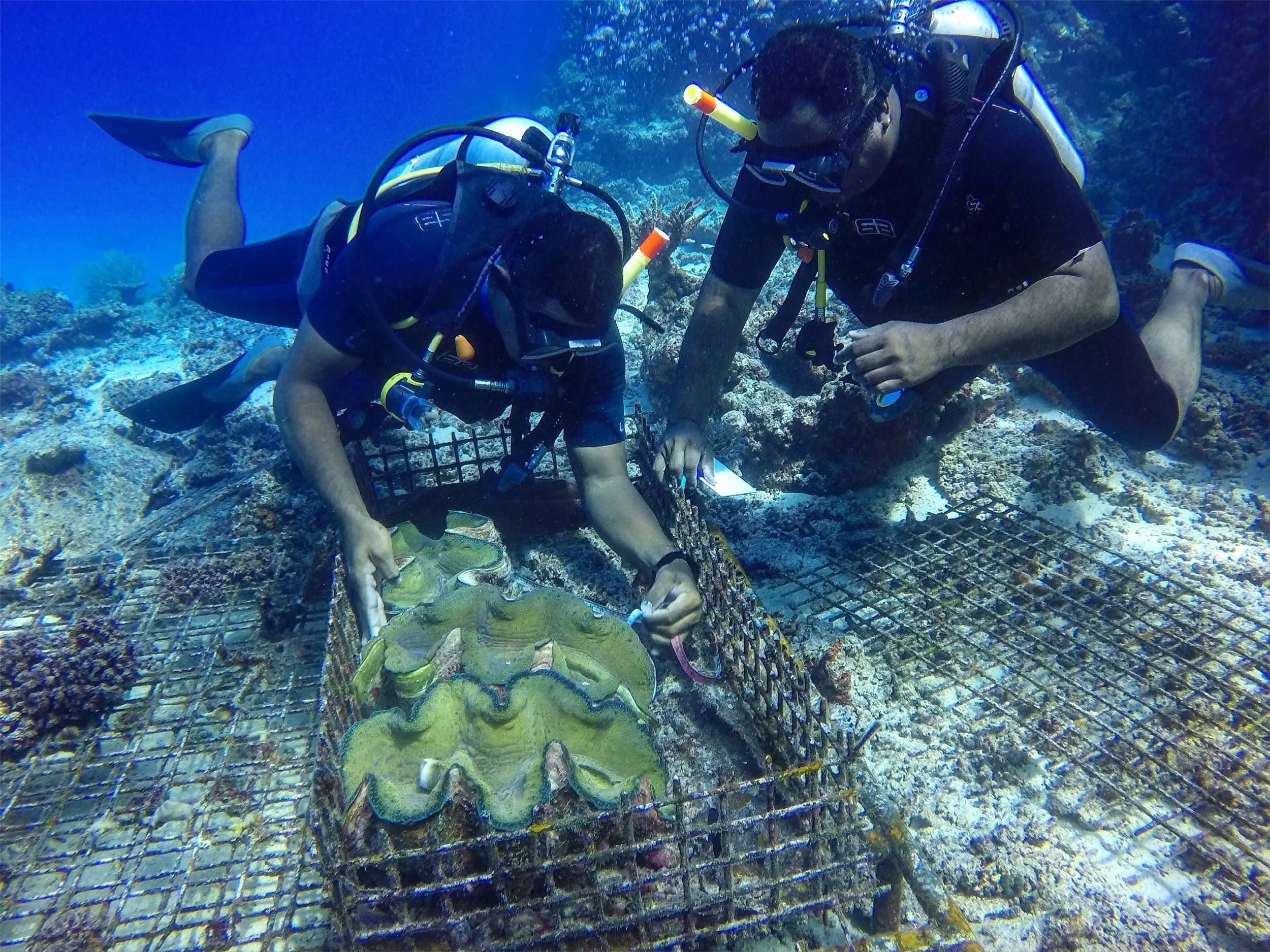 Tokoriki Diving/ Bespoke, small group adventuring in paradise